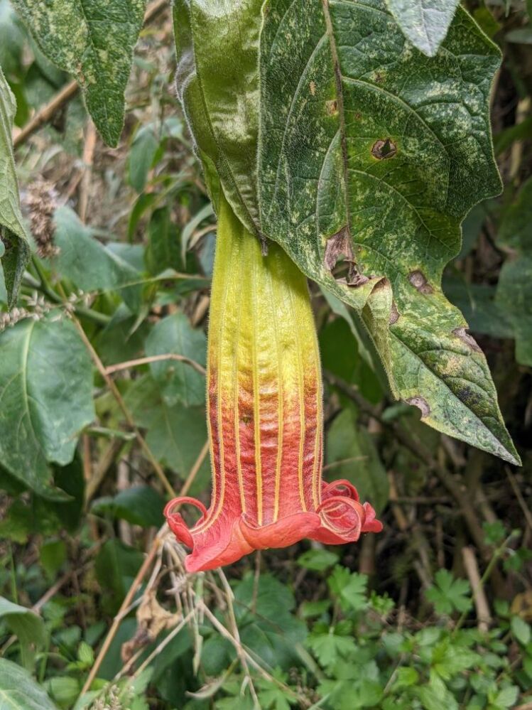 How to Hike the Epic Cascada Cóndor Machay Trail: A TTT Guide – Two ...