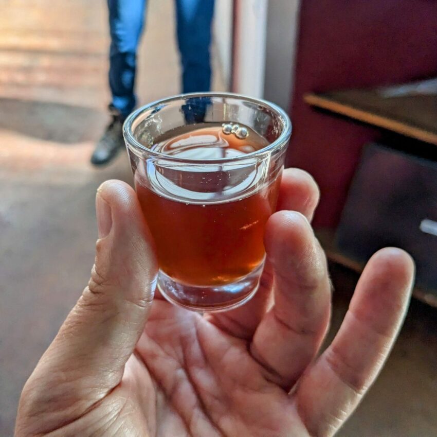 Getting Buzzed at the Finca Casanga Coffee Farm – Two Travel Turtles