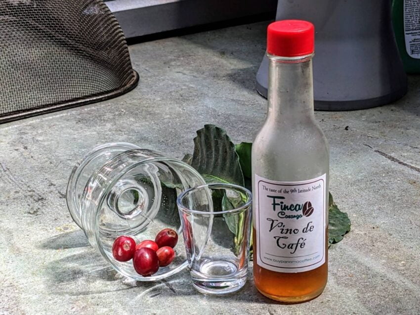 Getting Buzzed at the Finca Casanga Coffee Farm – Two Travel Turtles