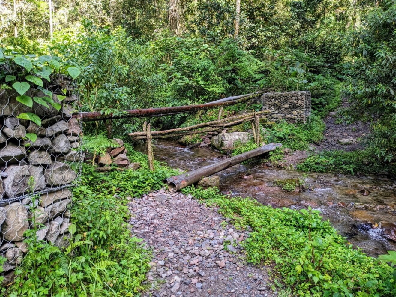 How To Hike the Pipeline Trail in Boquete Panama – Two Travel Turtles